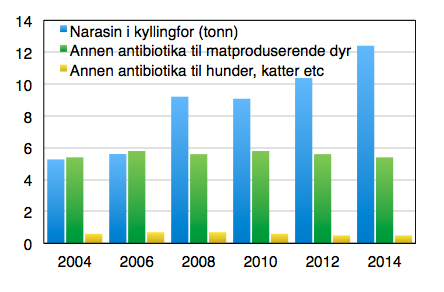 Kobling funnet mellom diabetes type 1, tarmflora og bruk av antibiotika ...